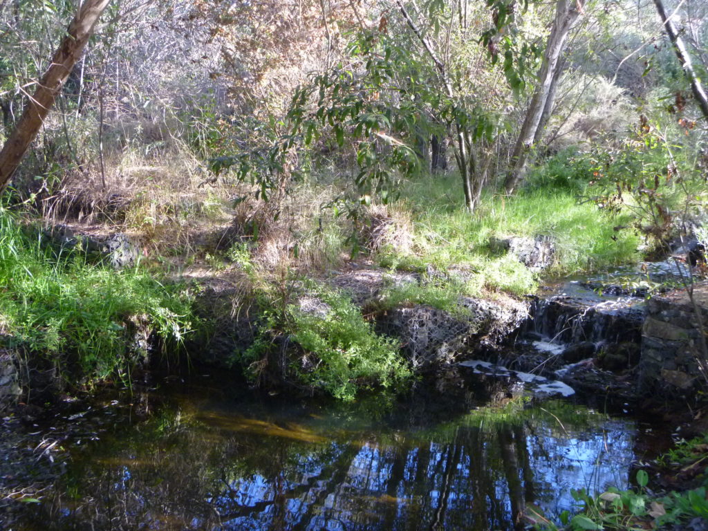 WHALES Students in Action: Field Trip to Buck Gully & Back Bay Science ...